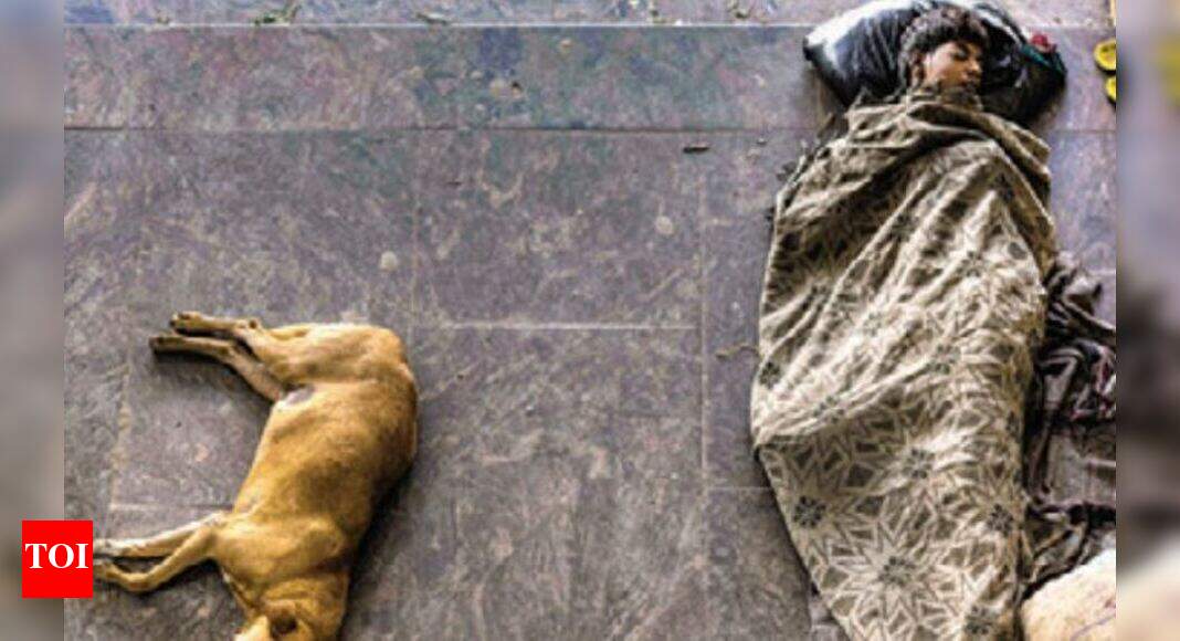 Sleep Sciences: Sleep through art? Painter looks to raise awareness ...