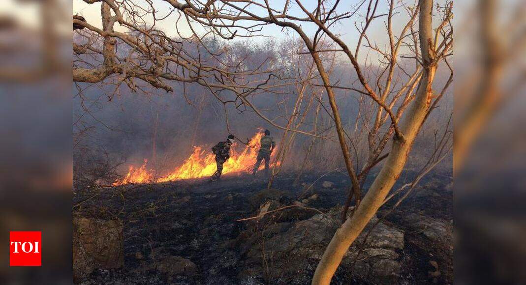 Indian Army douses forest fire | Ahmedabad News - Times of India