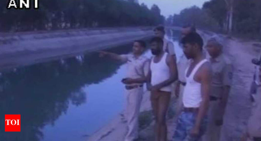 11 bodies, 4 human skulls recovered from Bhakra canal in Jind | Jind News - Times of India