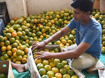 Heavy duty by Bangladesh hampering orange export | Nagpur News - Times ...