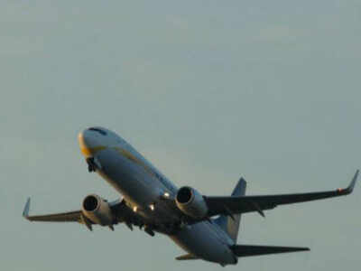 Bird-hit dent detected on plane wing | Kolkata News - Times of India