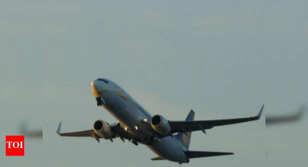 Bird-hit dent detected on plane wing | Kolkata News - Times of India