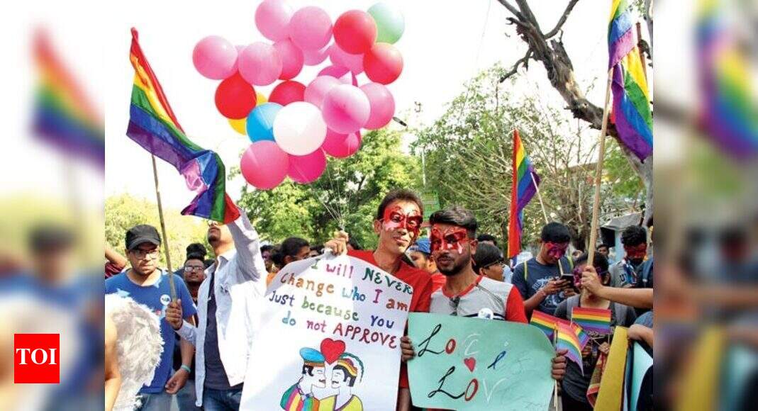 Large turnout in Lucknow for UP's first pride parade | Delhi News ...
