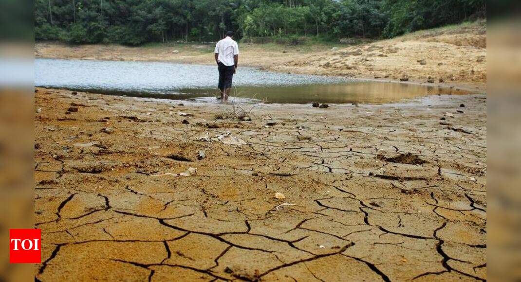 Neyyar dam drying up, water for only 12 days left | Thiruvananthapuram ...