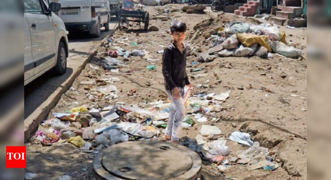 Mcd Election 2017: Delhi civic polls: Seemapuri borders on zero growth ...