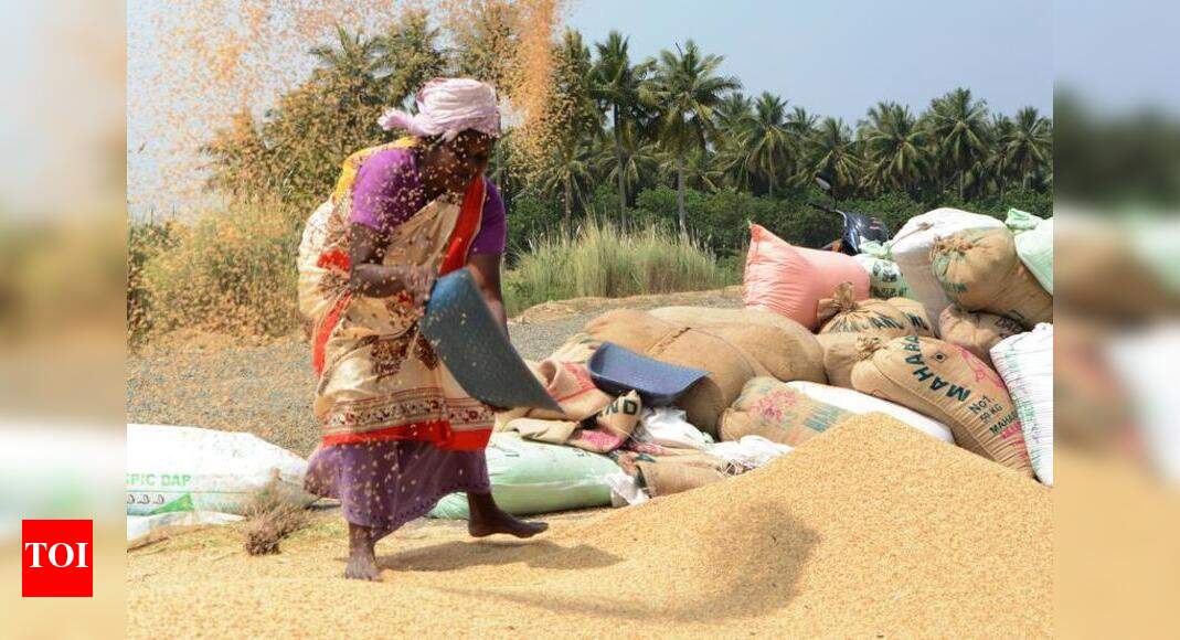 Farm Produce: Gujarat aims to double farm produce by 2030 | Ahmedabad ...