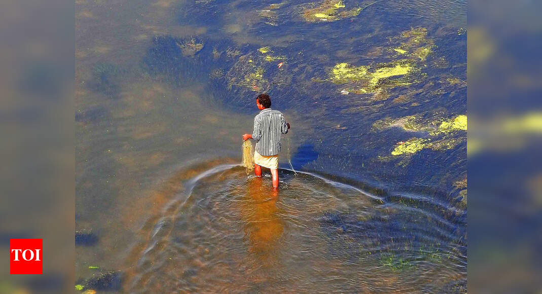 Nag river project yet to see light of the day | Nagpur News - Times of ...