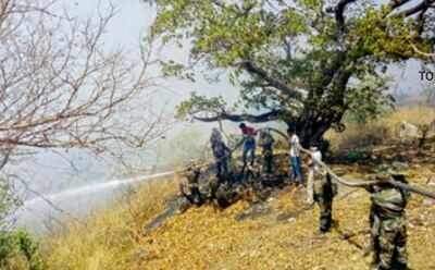 Abu fire shows no signs of abating | Rajkot News - Times of India