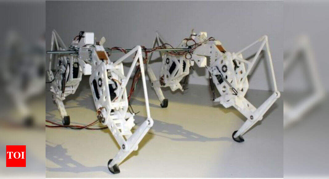 Robot Cheetah: Light-weight robotic cheetah developed - Times of India