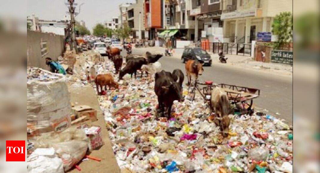 Drive on waste collection from today | Jaipur News - Times of India