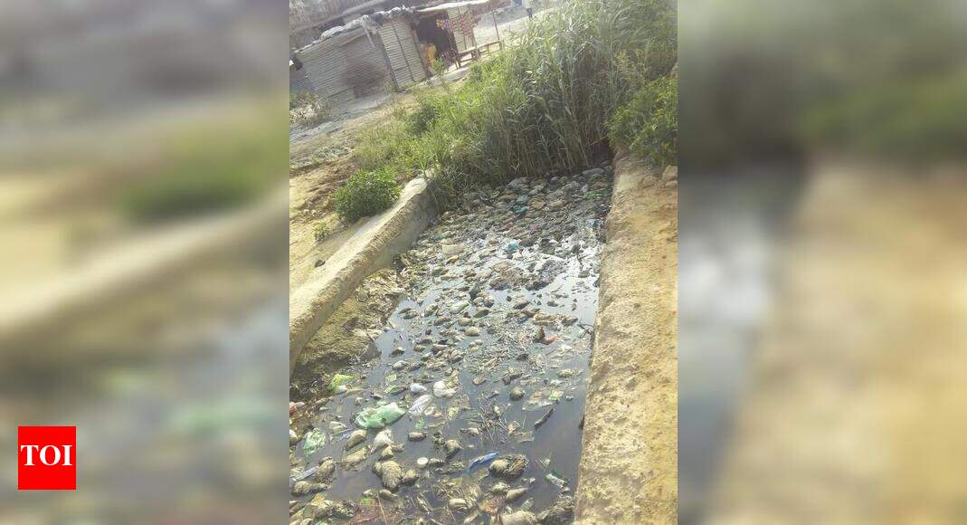 Noida's clogged drains turn into health hazard | Noida News - Times of ...