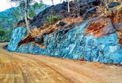 Tungareshwar forest on city's edge has only 5 leopards | Mumbai News ...