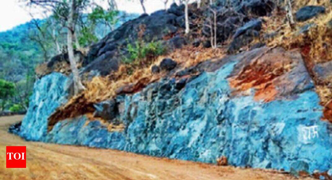 Tungareshwar: Tungareshwar forest on city's edge has only 5 leopards ...