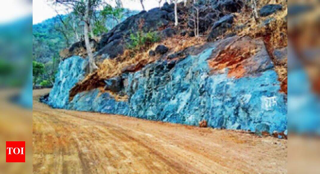 Tungareshwar: Tungareshwar forest on city's edge has only 5 leopards ...