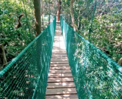 Karnataka’s first canopy walk all set to boost ecotourism in Western ...