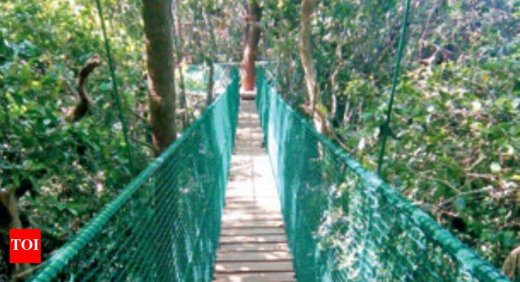 Karnataka’s first canopy walk all set to boost ecotourism in Western ...