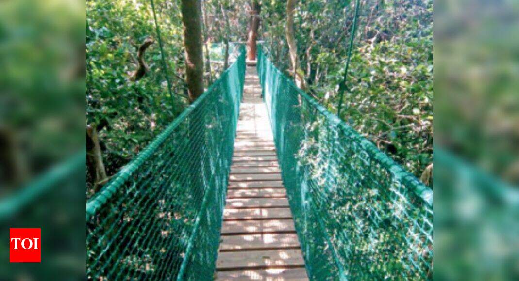 Karnataka’s first canopy walk all set to boost ecotourism in Western ...