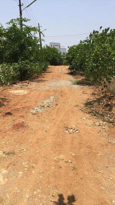 Layout made of kuccha roads - Times of India