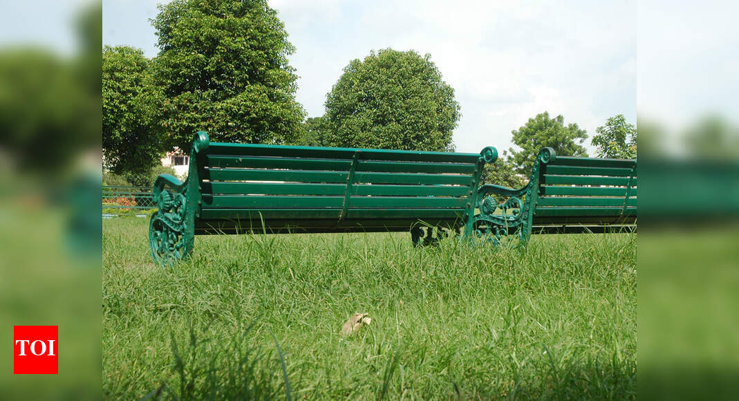 Curzon Park: Curzon Park to turn underground commute hub with Metro ...