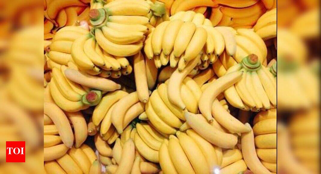 Banana Seizure: FDA seizes 350kg of bananas | Goa News - Times of India