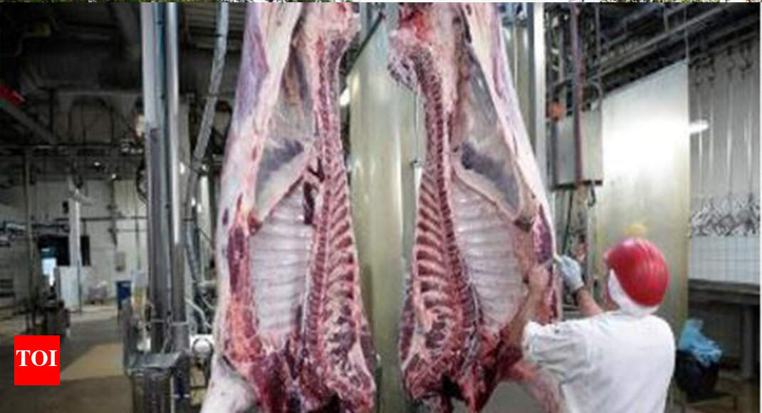 slaughterhouse: Waste from animal slaughter sullies Musi lake, locals ...