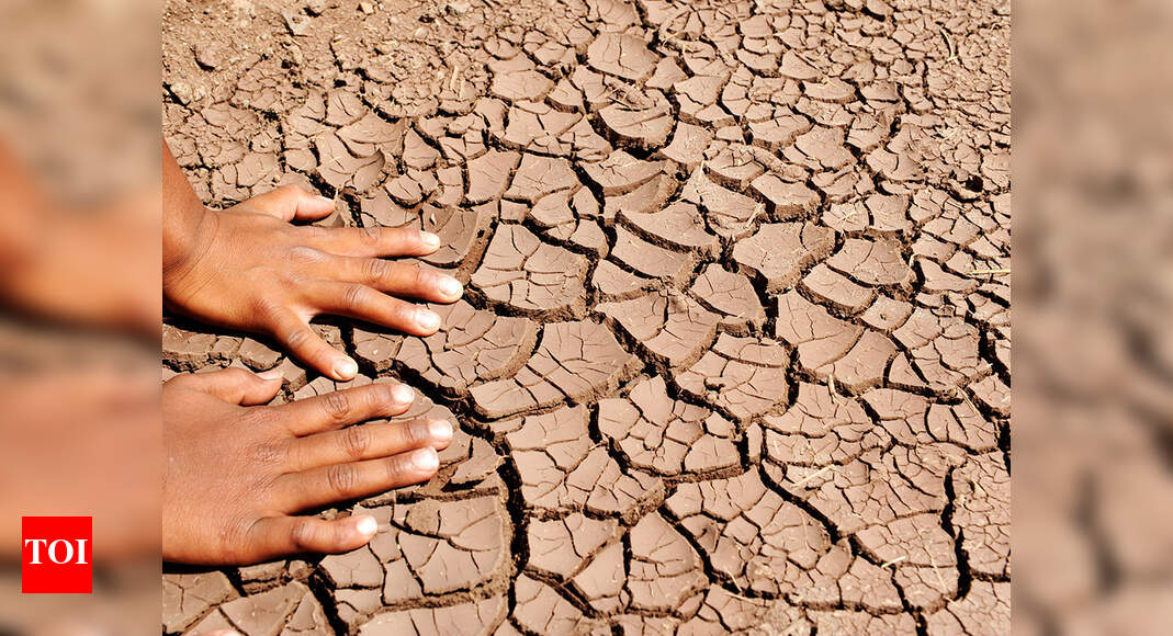 Dry Land Agriculture Offers Hope To Parched Rain fed Areas Trichy