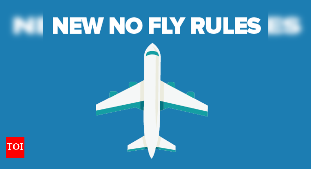 Infographic: Unruly behavior that can put you on a ‘no-fly’ list ...