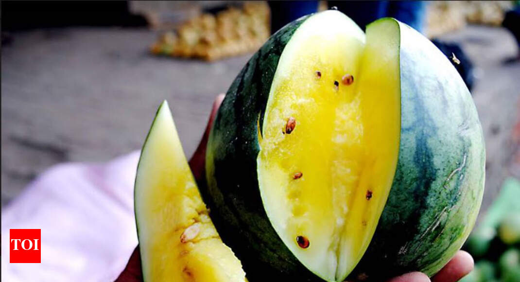 mulch film culvivation technique: Taiwan seeds to yield juicy, square ...