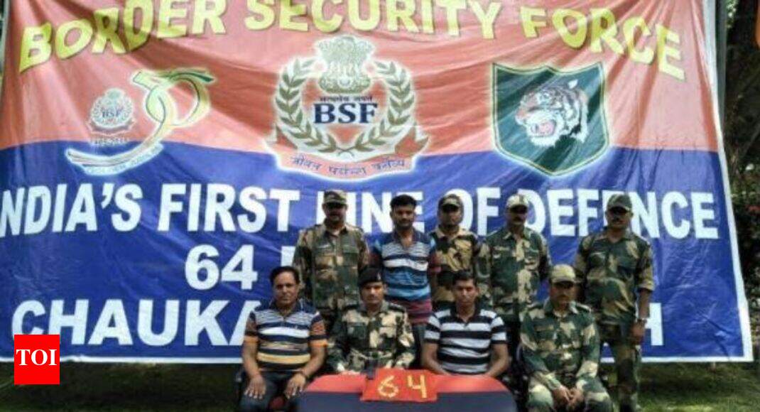 Indo-Bangladesh border : BSF seizes nearly 1.785 kg gold from Bongaon ...