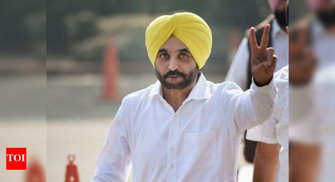 Bhagwant Mann: Bhagwant Mann is new AAP Punjab president | Chandigarh News - Times of India