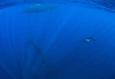 Deep Sea Mission: India to pump Rs 10,000 crore in Deep Sea Mission ...