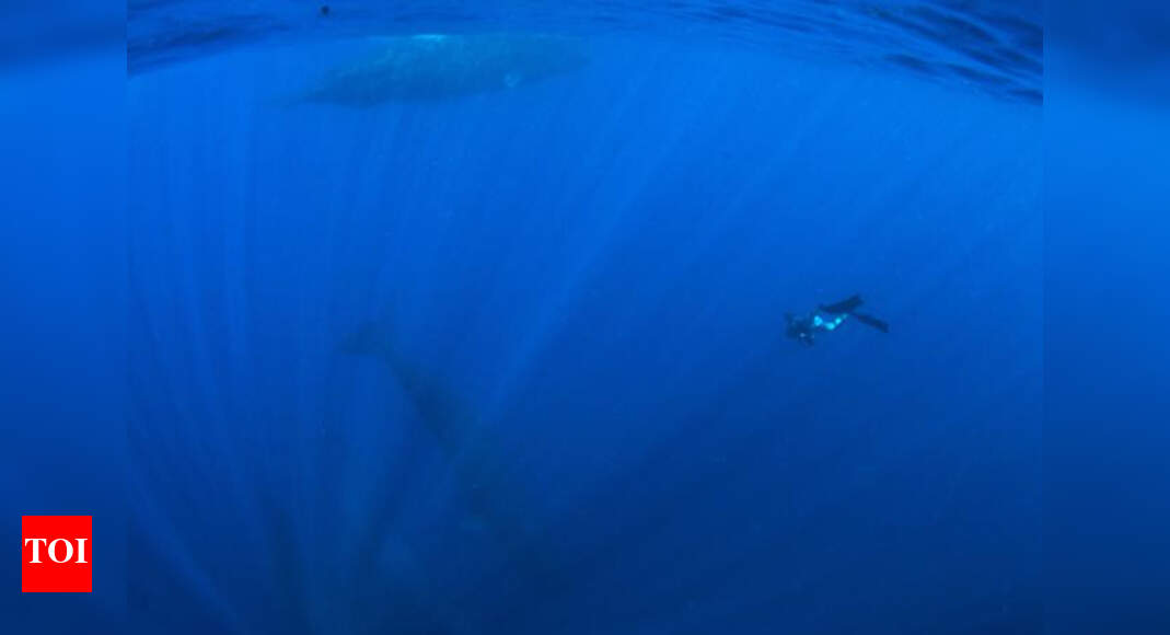 Deep Sea Mission: India to pump Rs 10,000 crore in Deep Sea Mission ...