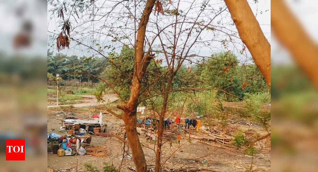 Hacking of trees - Times of India