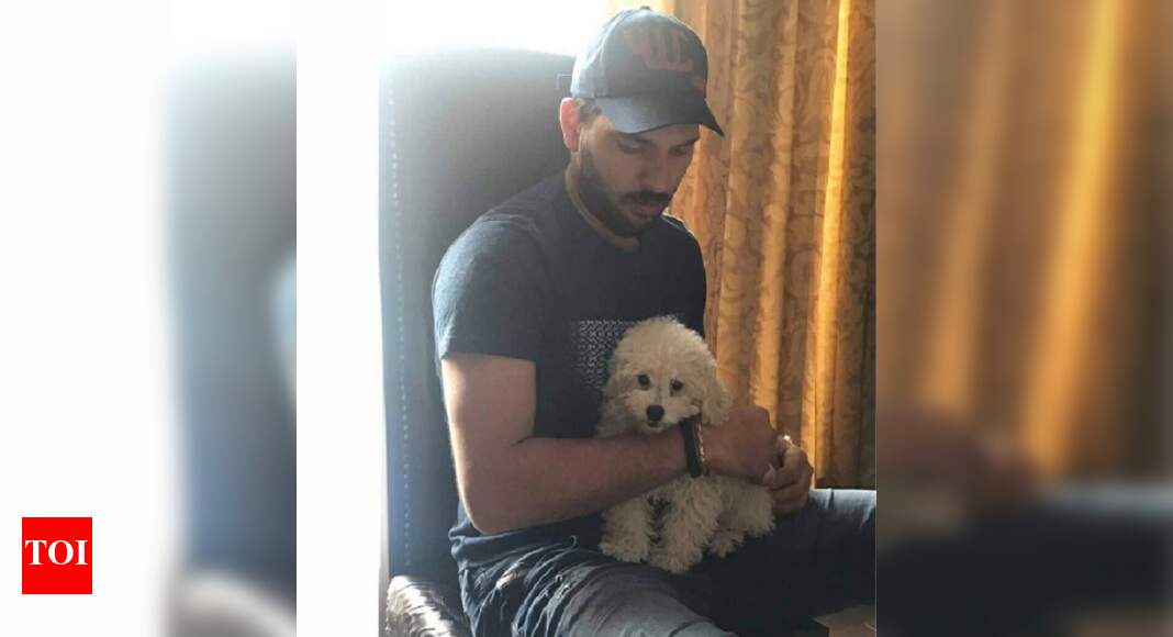OMG! Yuvi plays with furry friends - Times of India