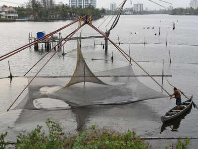 Iconic Chinese nets to regain lost glory | Kochi News - Times of India