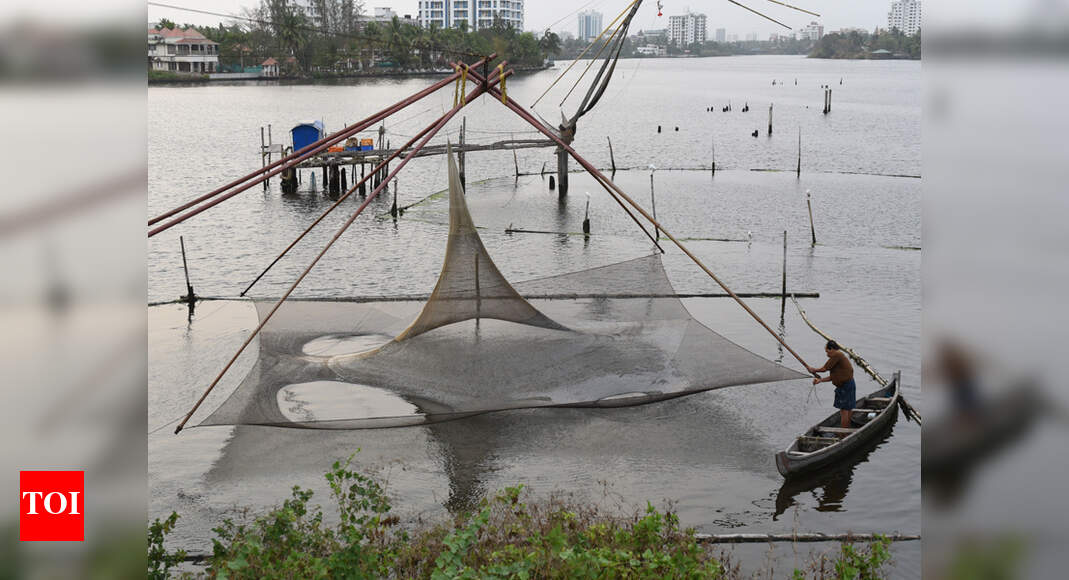 Iconic Chinese Nets: Iconic Chinese nets to regain lost glory | Kochi ...