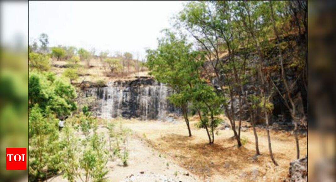 Housing society's hard work turns barren land into hub of native trees ...
