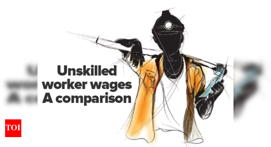 Infographic: An unskilled Indian earns 12 times less than a German ...
