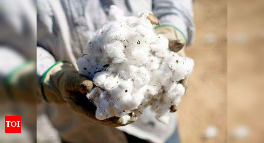 Cotton MSP: Govt mulls Rs 160 per quintal hike in cotton MSP for 2017 ...