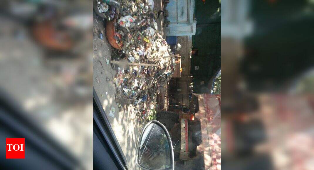 GARBAGE DISPOSAL - Times of India