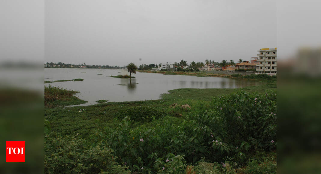 Trivendra Singh Rawat: Revive Sukhatal for Naini lake survival, suggest ...