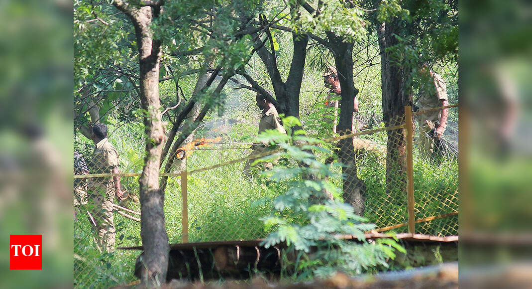 Foresters to build dam for Aravali animals | Gurgaon News - Times of India