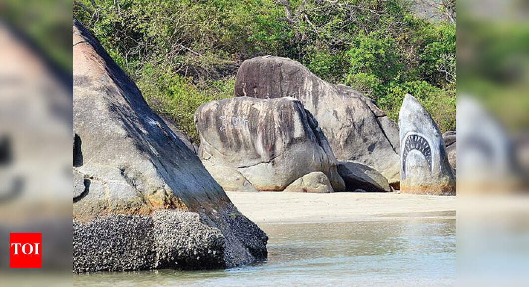 Earth: Goa’s 16 rock eras tell Earth’s story | Goa News - Times of India
