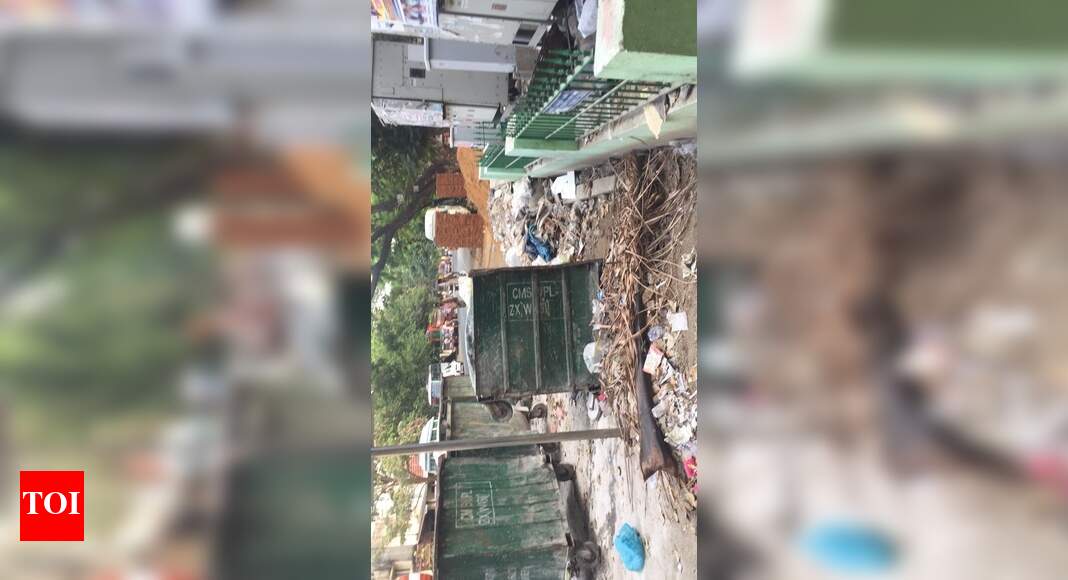 damagged dust pin - Times of India