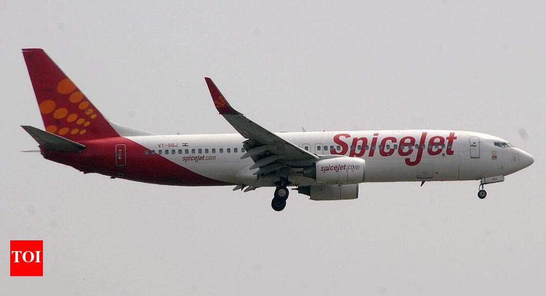 SpiceJet: SpiceJet anniversary sale: Fares start at Rs 12 - Times of India