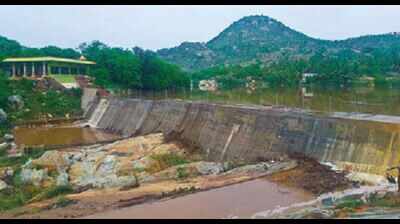 Palar River: Rain in Andhra Pradesh rejuvenates Palar River bed ...