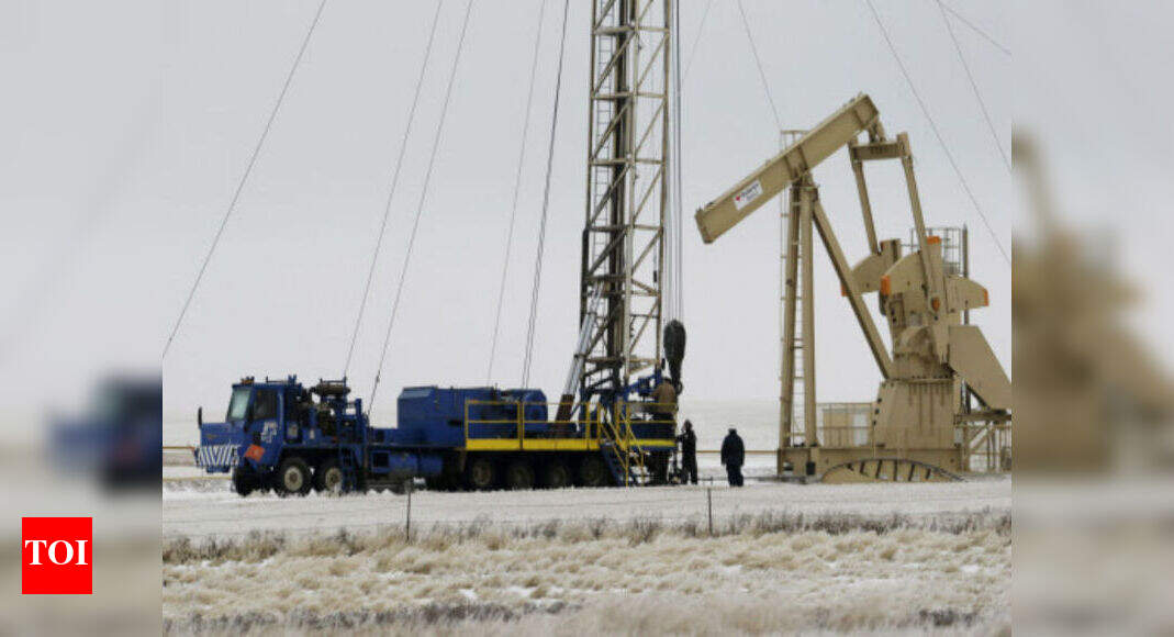 Opec: Iraq may consider hedging crude production - Times of India