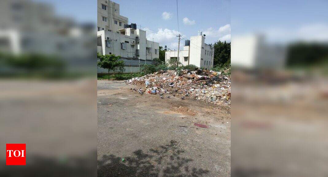 Filthy area Jalabhavan road, N.A.L Layout, - Times of India