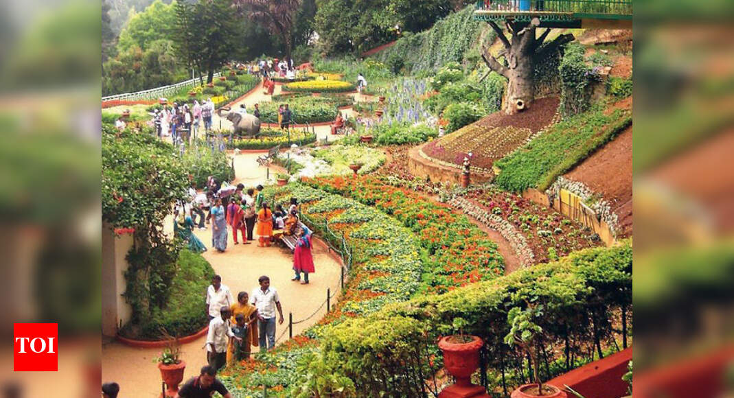 Annual Flower Show: When sham rules Ooty’s flower show | Chennai News ...