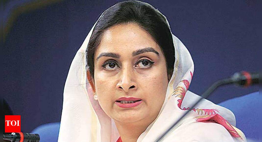 Inauguration of MITS Mega Food Park at Rayagada - The Times of India